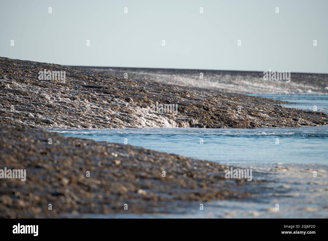 Western Australia, Kimberley, Montgomery Reef. Sandstone islets exposed ...