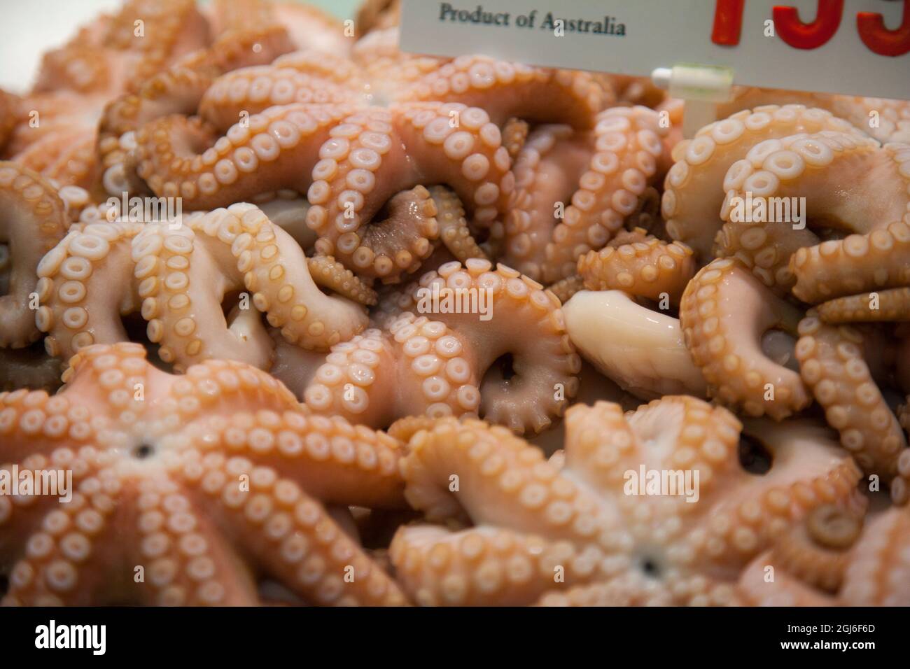 Octopus for sale at Fisherman's Wharf in Sydney, Australia Stock Photo ...