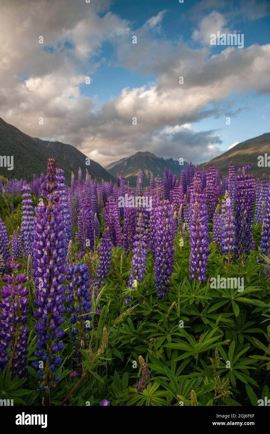 Flaherty island hi-res stock photography and images - Alamy
