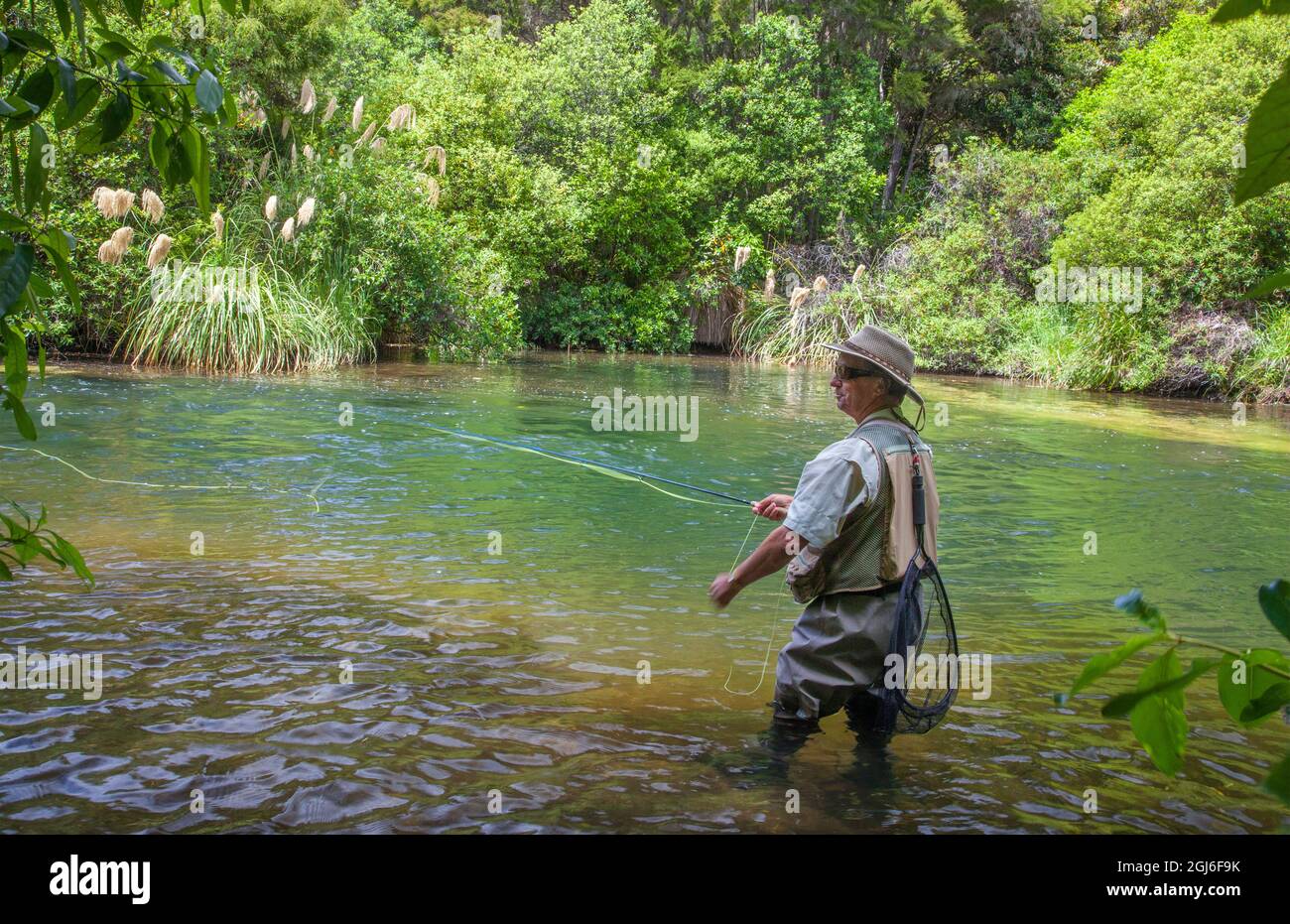Tourists fly fishing with fishing guide in Lake Taupo area stream in ...