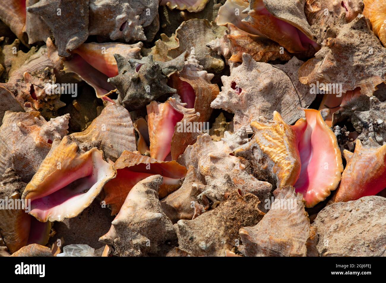 Cay large hi-res stock photography and images - Alamy
