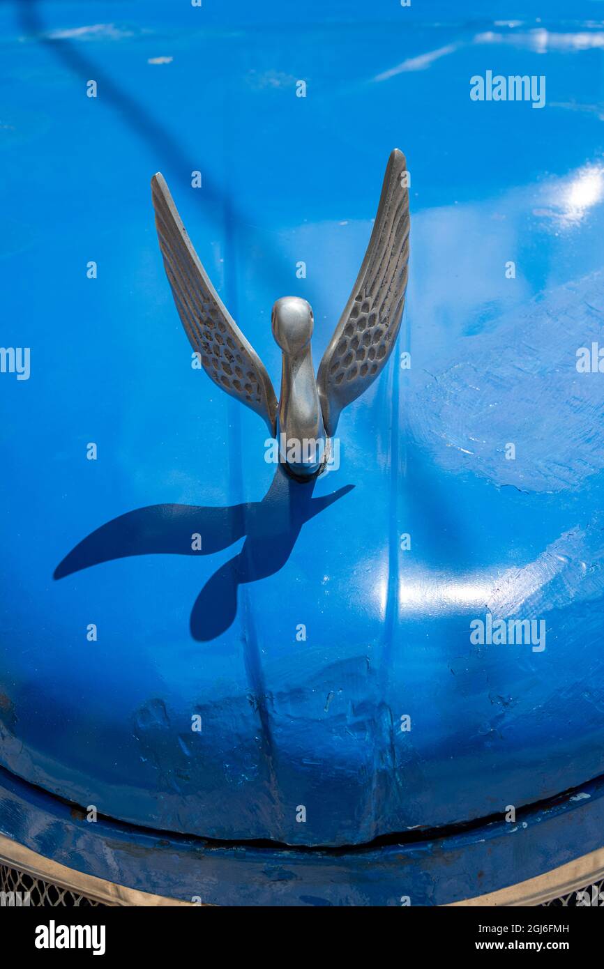 Detail of classic blue American car with chrome swan hood ornament in ...
