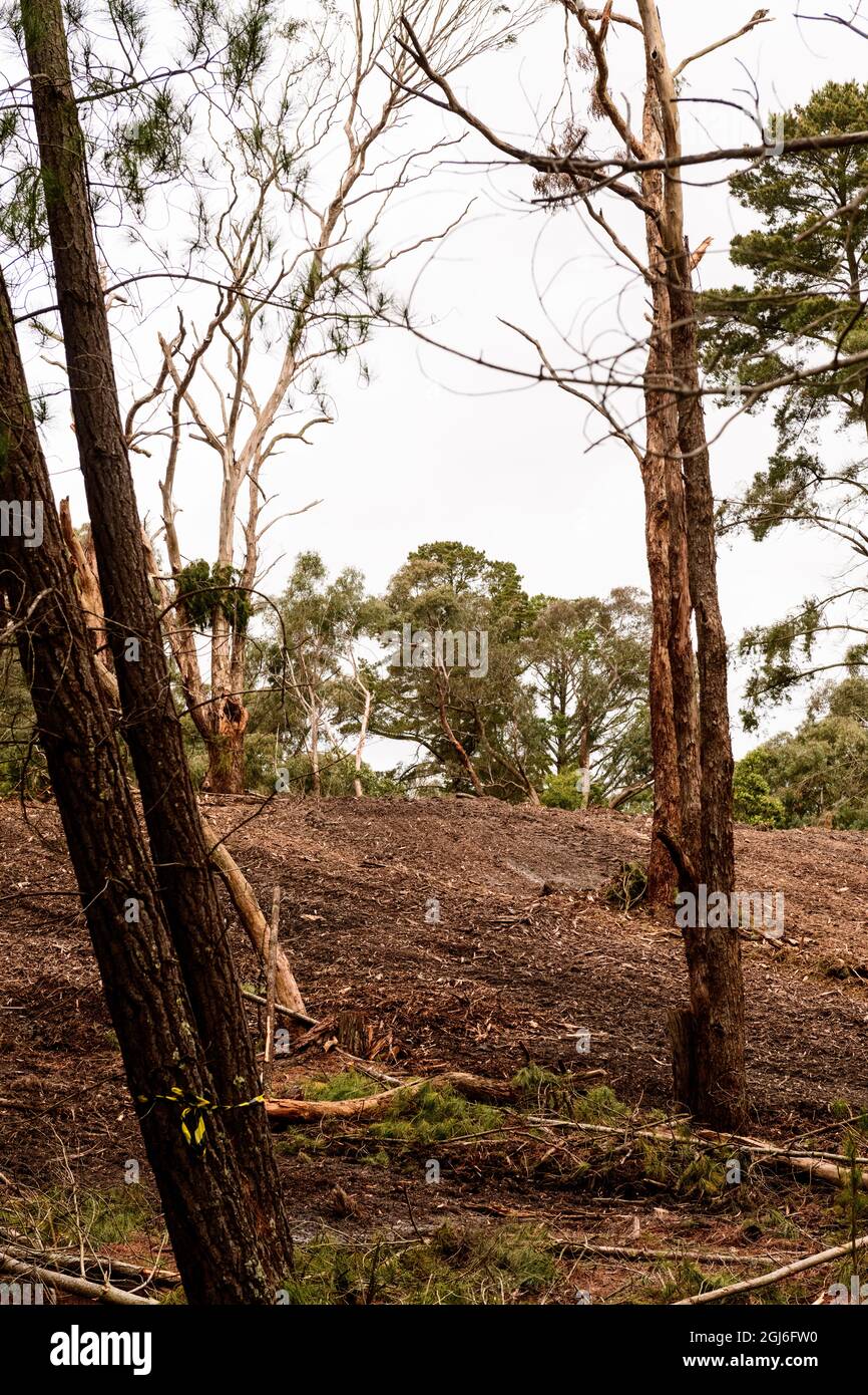 Where have all the trees gone ? Land cleared for housing Stock Photo ...