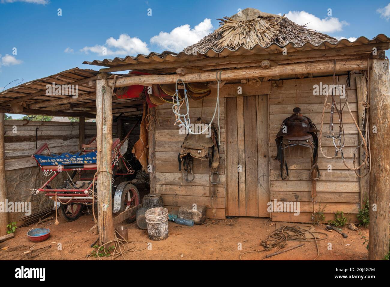Rustic wooden tack shed with leather saddles and horse drawn cart near ...