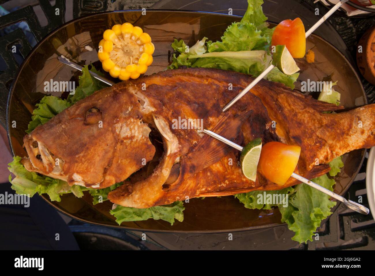 Whole fish meal on a plate at a restaurant in Plaza Vieja, Old Havana ...