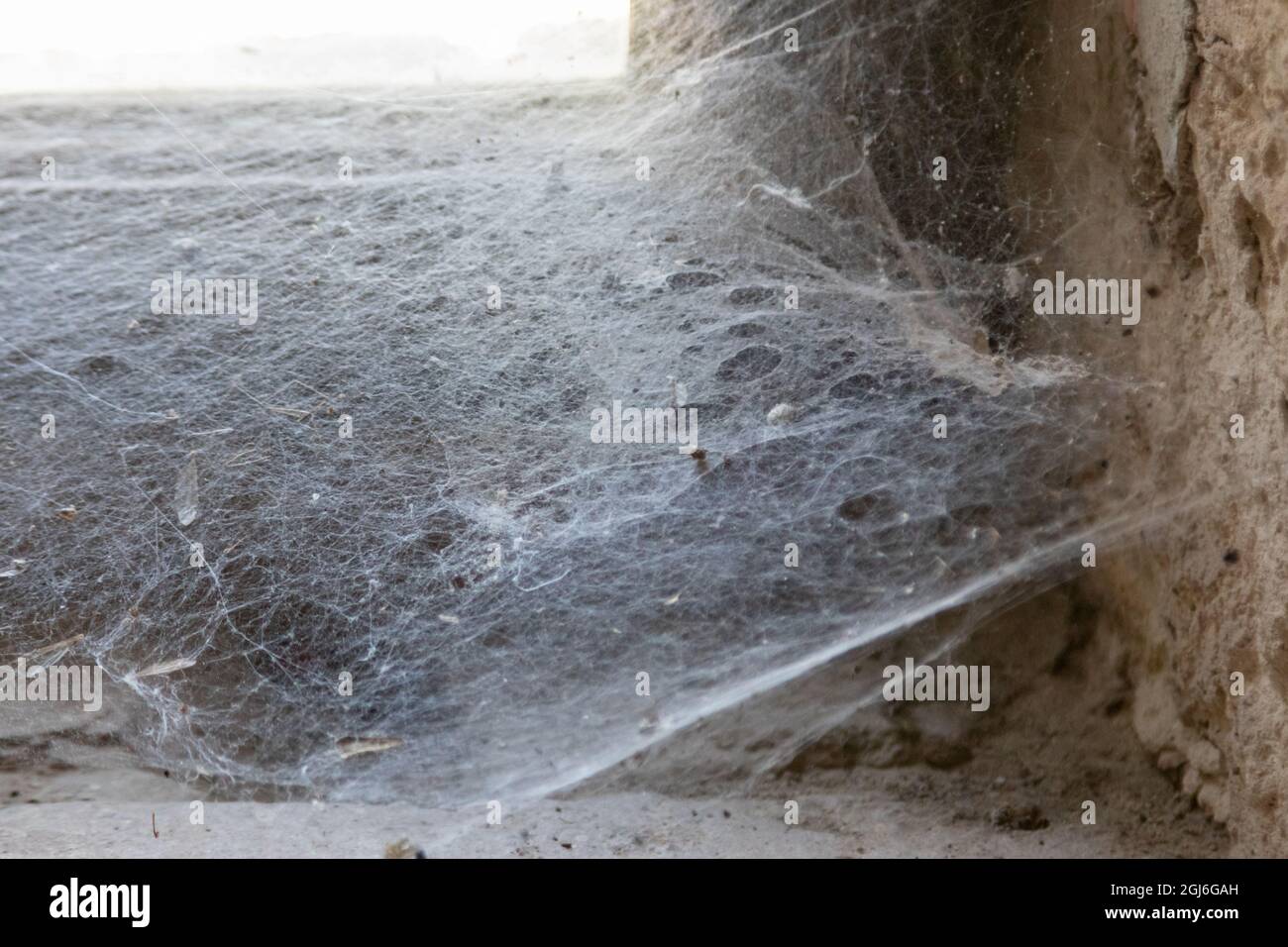 Spiderweb wall hi-res stock photography and images - Alamy