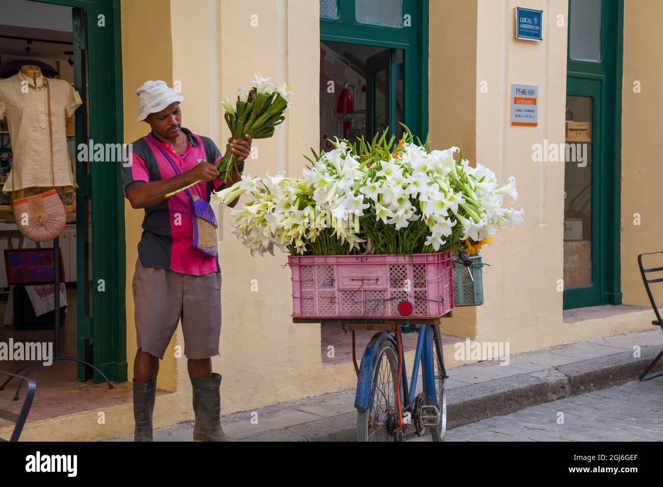 Local Cuban man selling flowers by bicycle in Old Havana, Cuba Stock Photo - Alamy