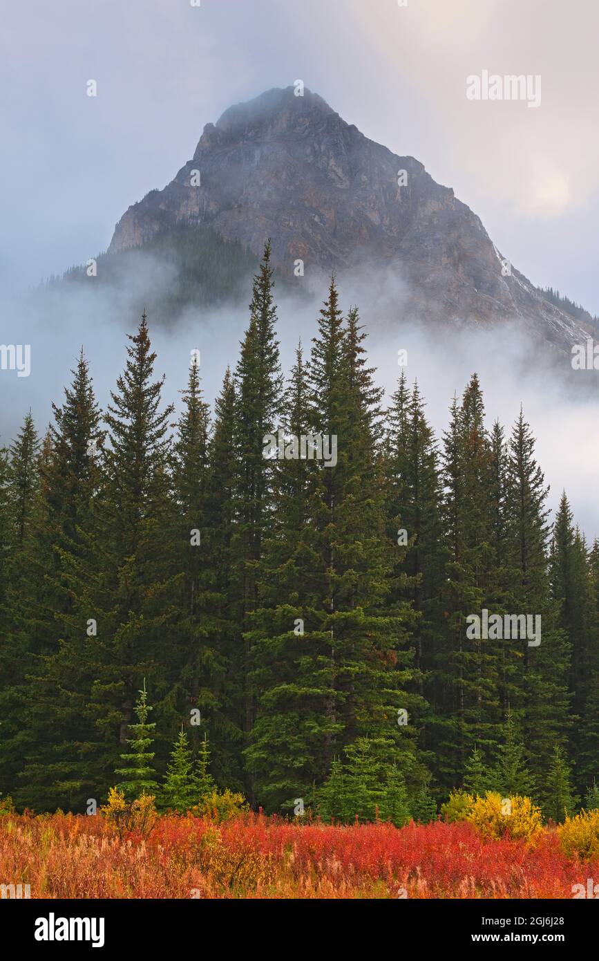 Canada, Alberta. Fog in Canadian Rocky Mountains. Credit as: Mike ...