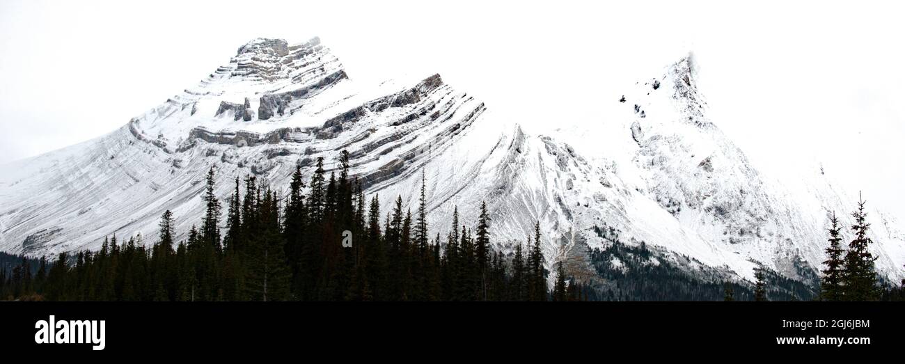 Canada, Alberta. Panoramic image of snow covered mountains, Jasper ...