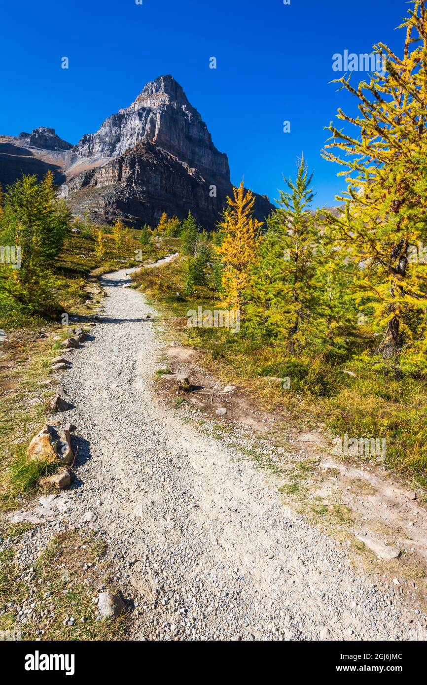 The Larch Valley Trail to Sentinel Pass, Banff National Park, Alberta ...