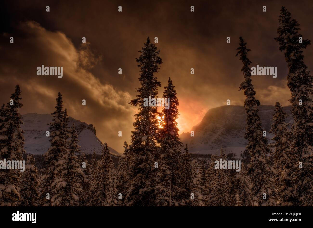 Golden winter sunset on the border of Banff and Jasper National Parks ...