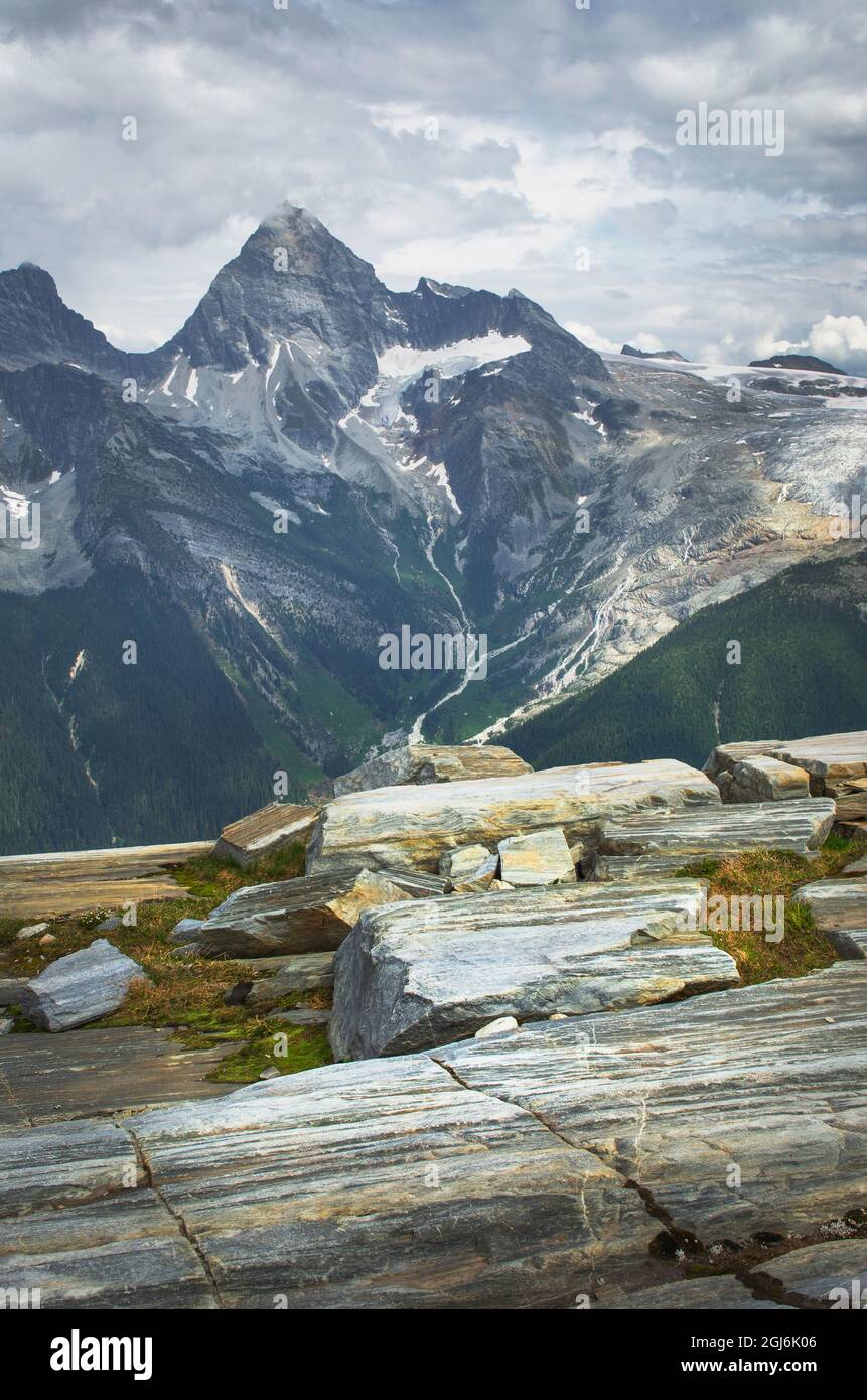 Sir alan donald hi-res stock photography and images - Alamy