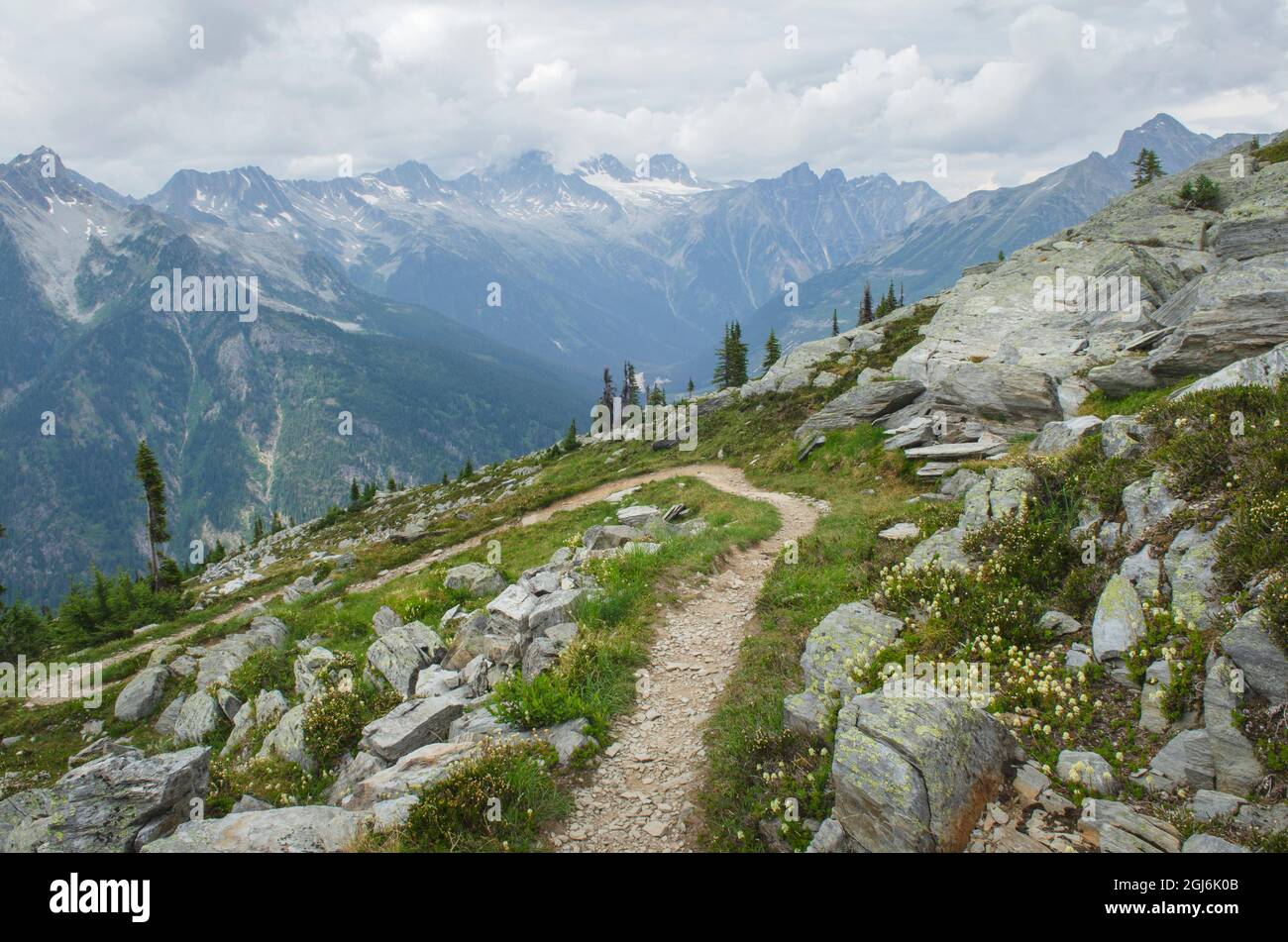 Abbott Ridge Trail. Selkirk Mountains Glacier National Park, British ...