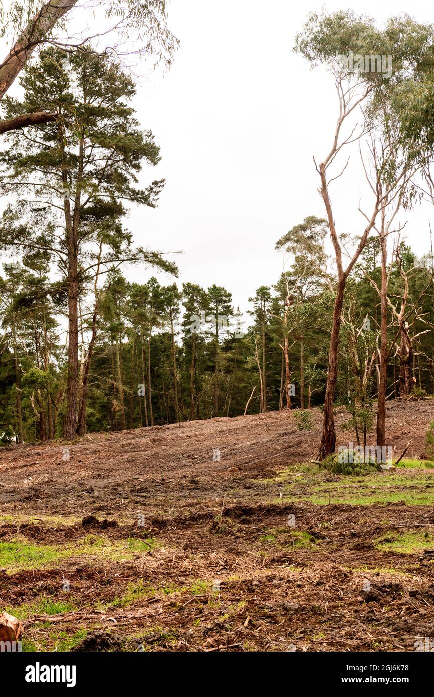 Land clearing australia hi-res stock photography and images - Alamy
