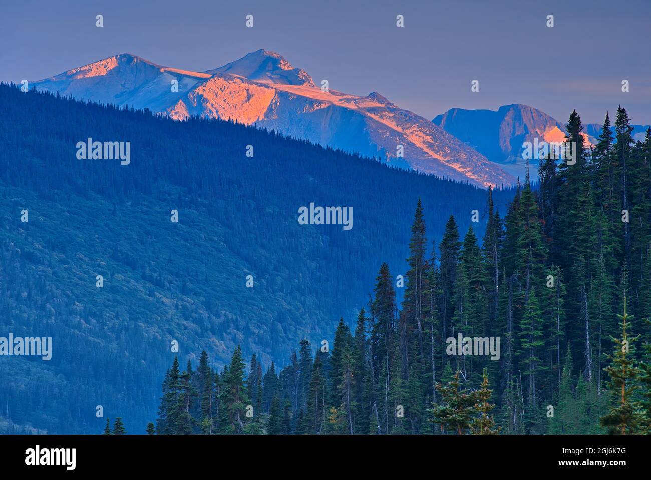 Mike grandmaison hi-res stock photography and images - Alamy