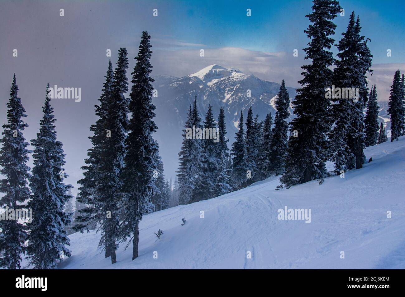 Revelstoke Mountain Resort High Resolution Stock Photography and Images ...