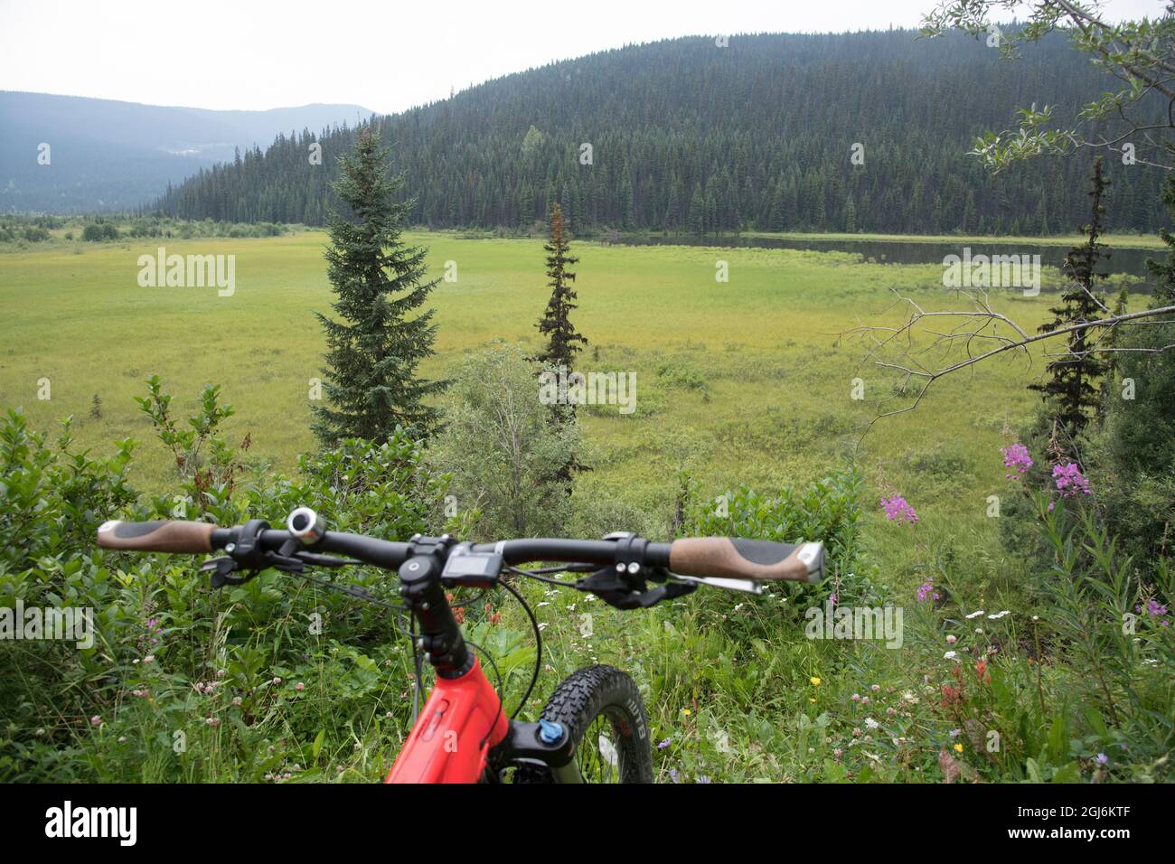 Mountain biker on an e-bike in the Cariboo Mountains of British Columbia Stock Photo - Alamy