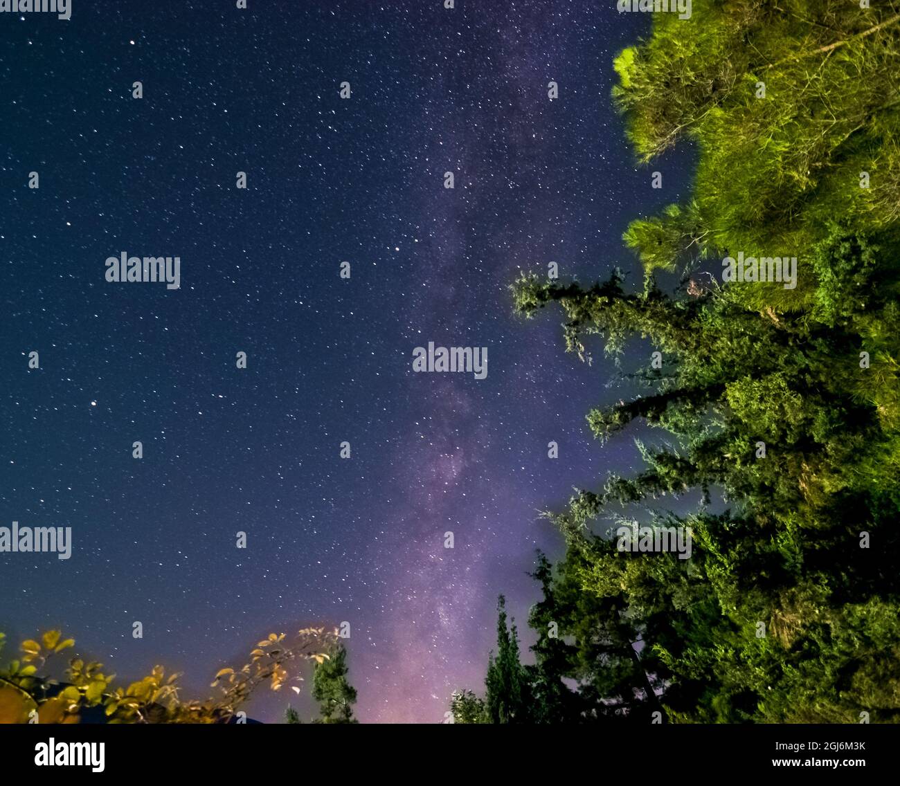 Milky Way Rising Among Trees Stock Photo - Alamy
