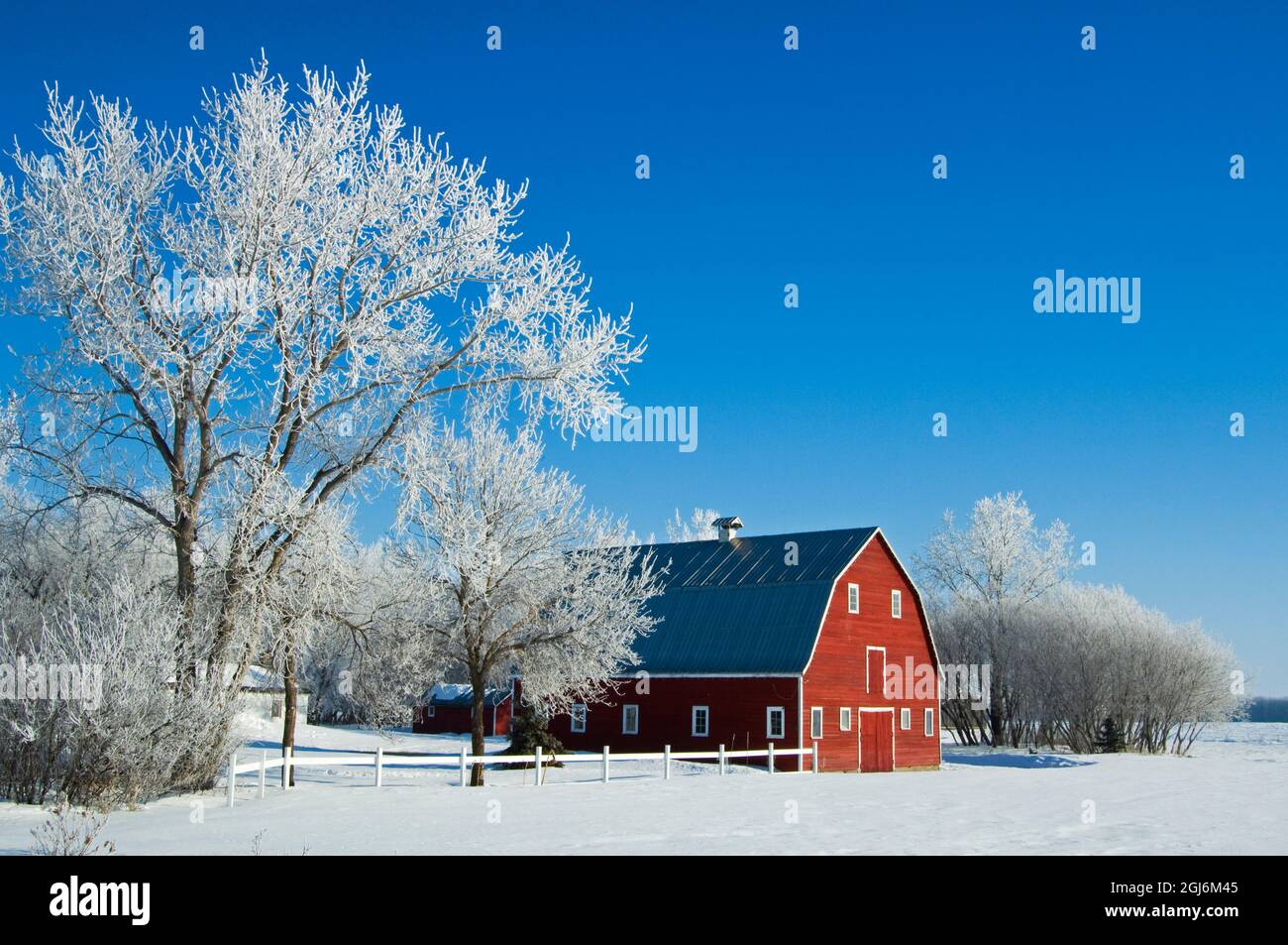 Canada, Manitoba, Grande Pointe. Hoarfrost and red barn in winter ...