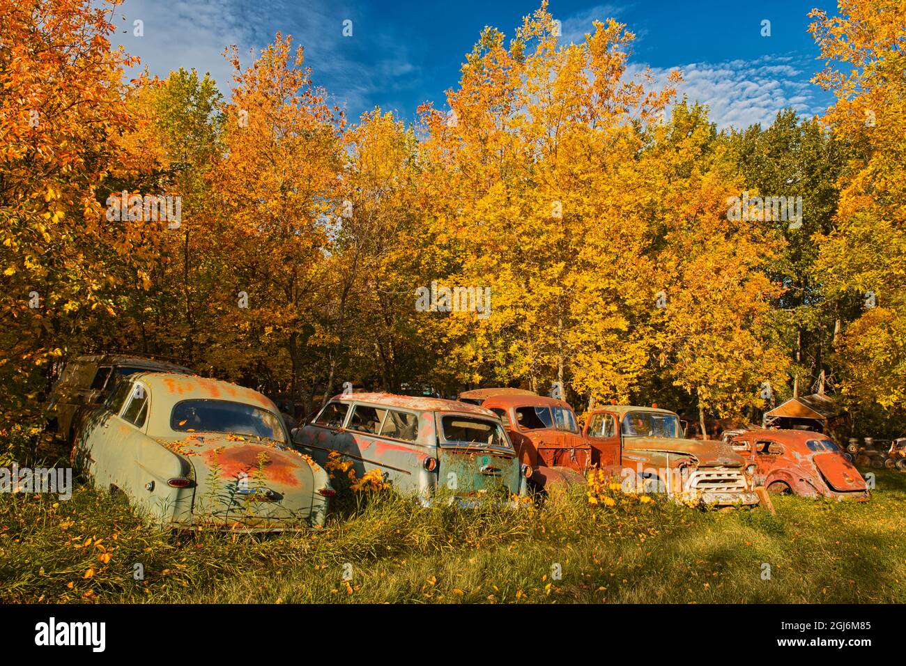 Canada, Manitoba, St. Lupicin. Vintage old vehicles in wrecking yard ...