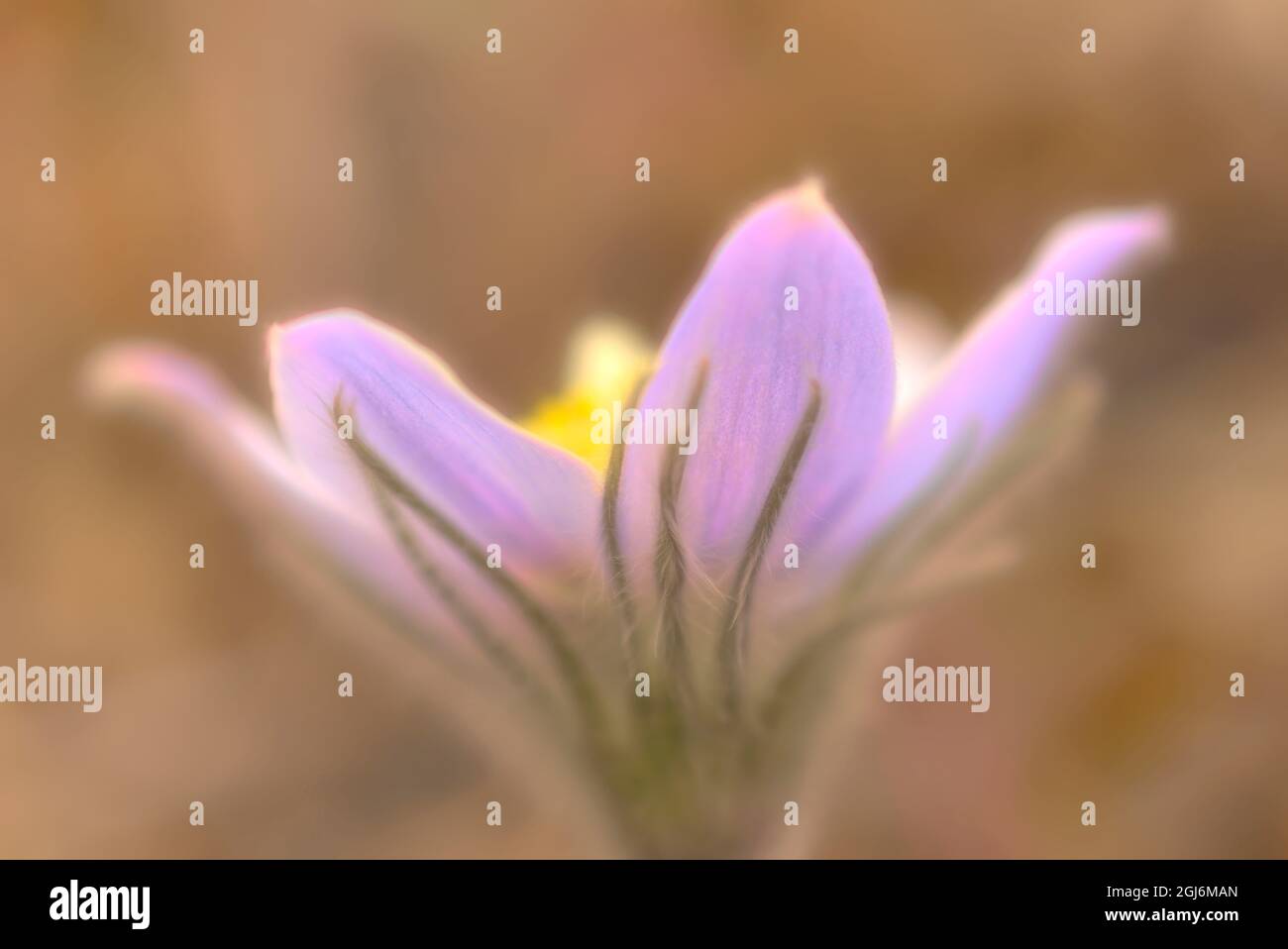 Libau manitoba hi-res stock photography and images - Alamy