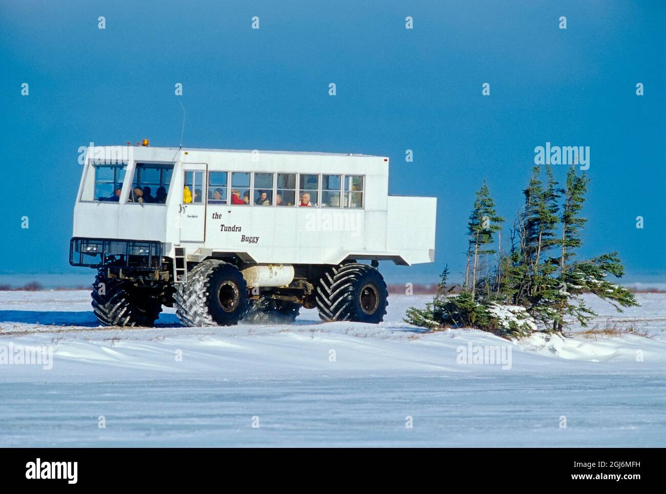 Canada, Manitoba, Churchill. Tundra buggy used for tourists to view ...
