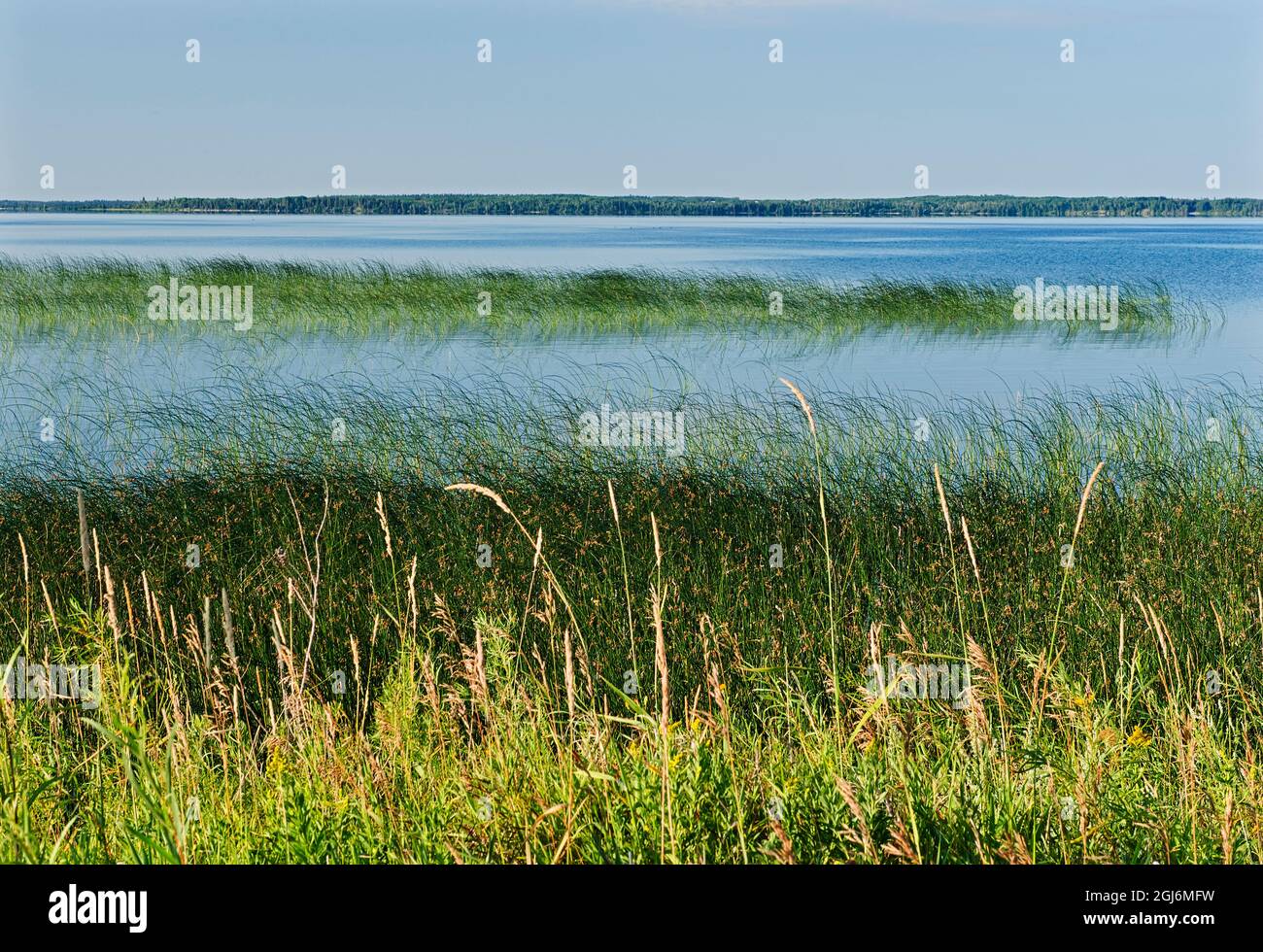 Canada, Manitoba, Riding Mountain National Park. Clear Lake landscape ...