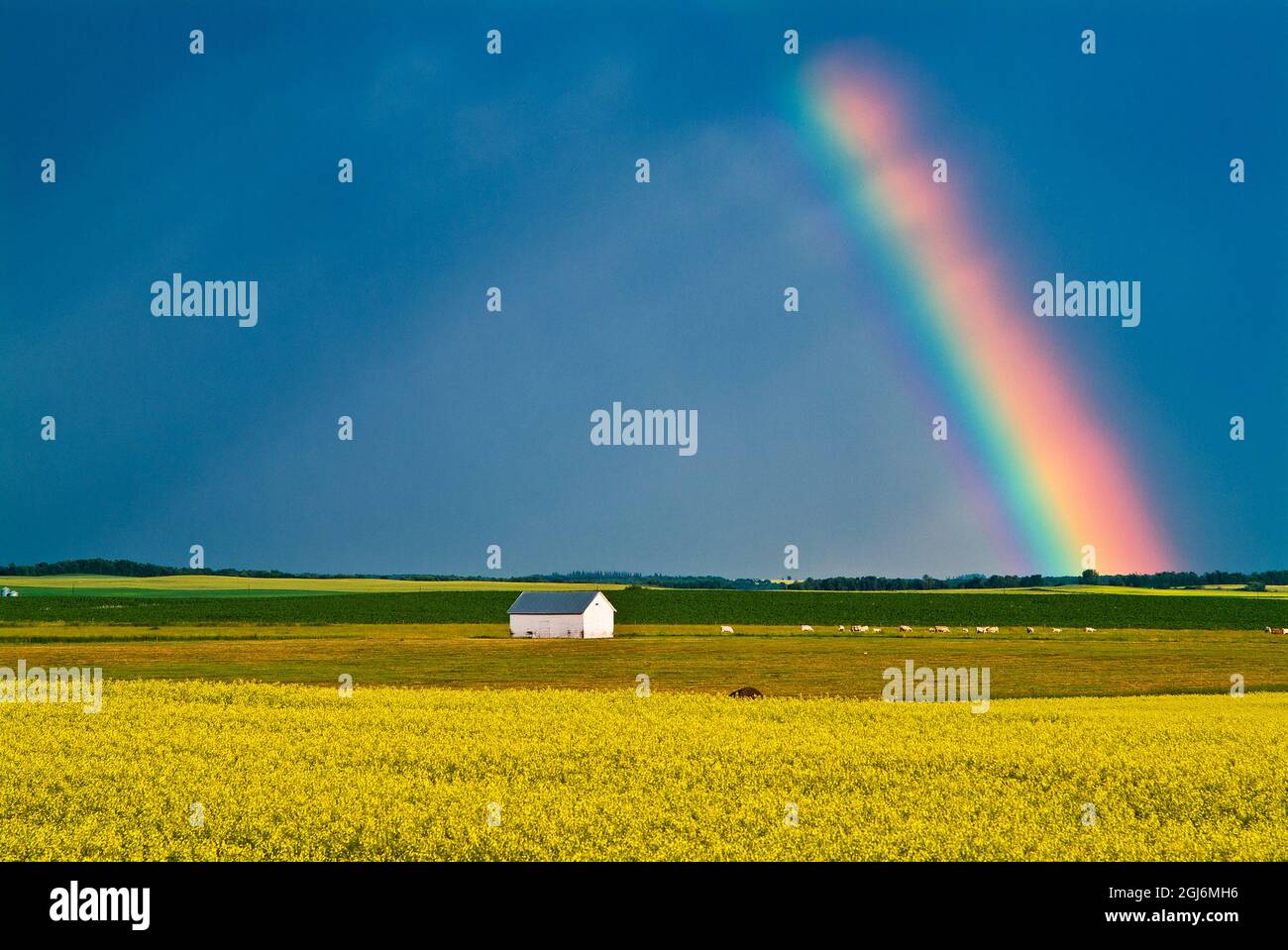 Mariapolis hi-res stock photography and images - Alamy