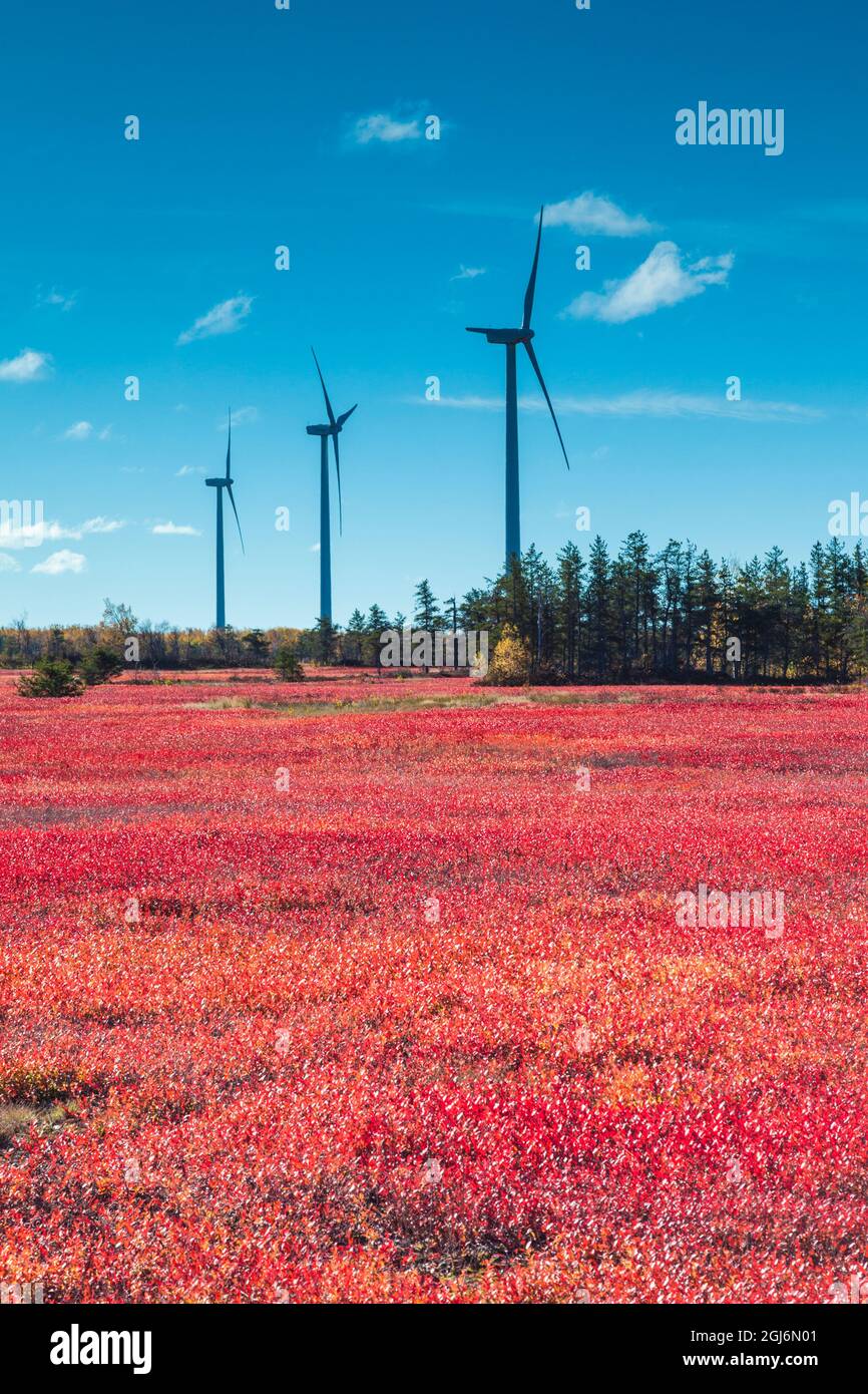 Canada, New Brunswick, Acadian Peninsula. Little Shippagan, wind ...