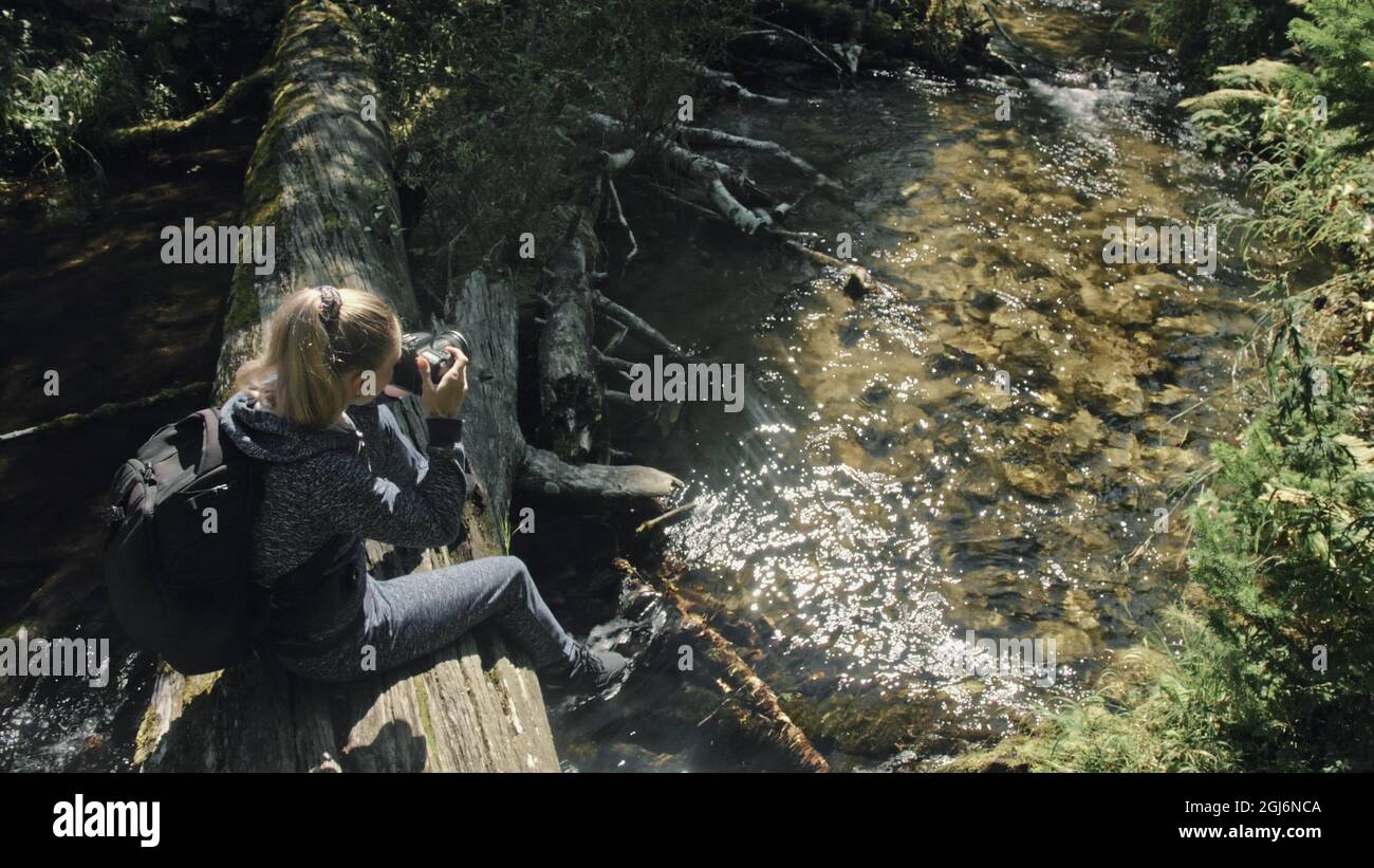 Traveler photographing scenic view in forest river. Wood bridge fallen ...