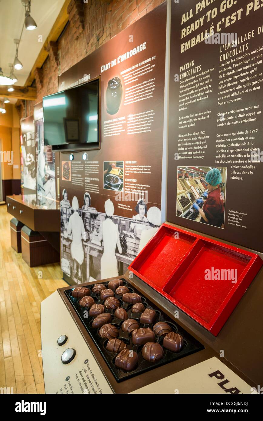 Canada, New Brunswick, Bay of Fundy, St. Stephen, The Chocolate Museum ...
