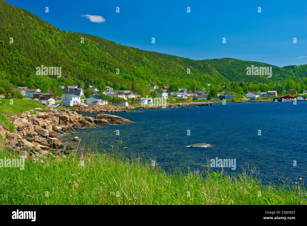 Newfoundland fishing village hi-res stock photography and images - Alamy