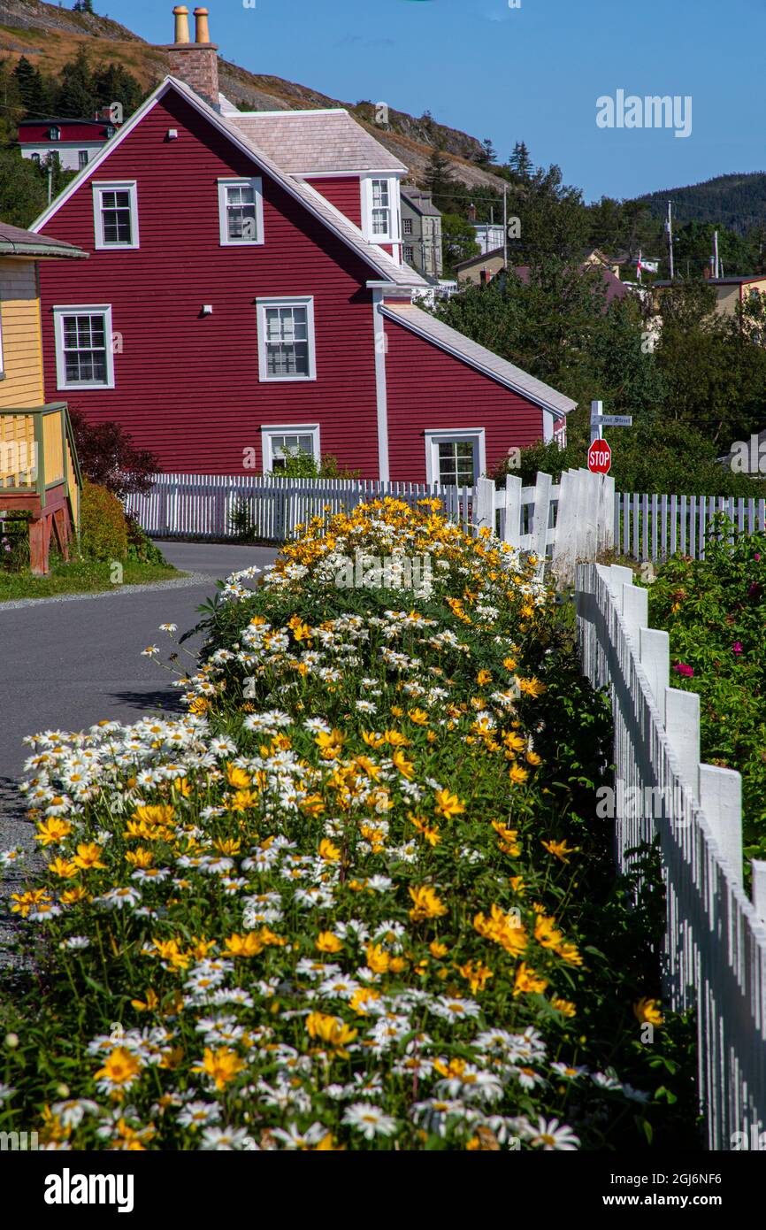 Labrador house hi-res stock photography and images - Alamy