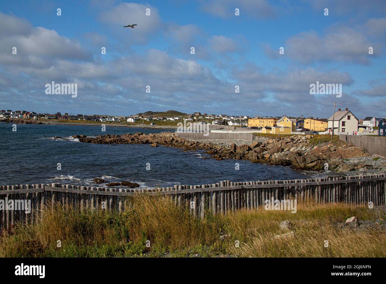 Town of bonavista hi-res stock photography and images - Alamy