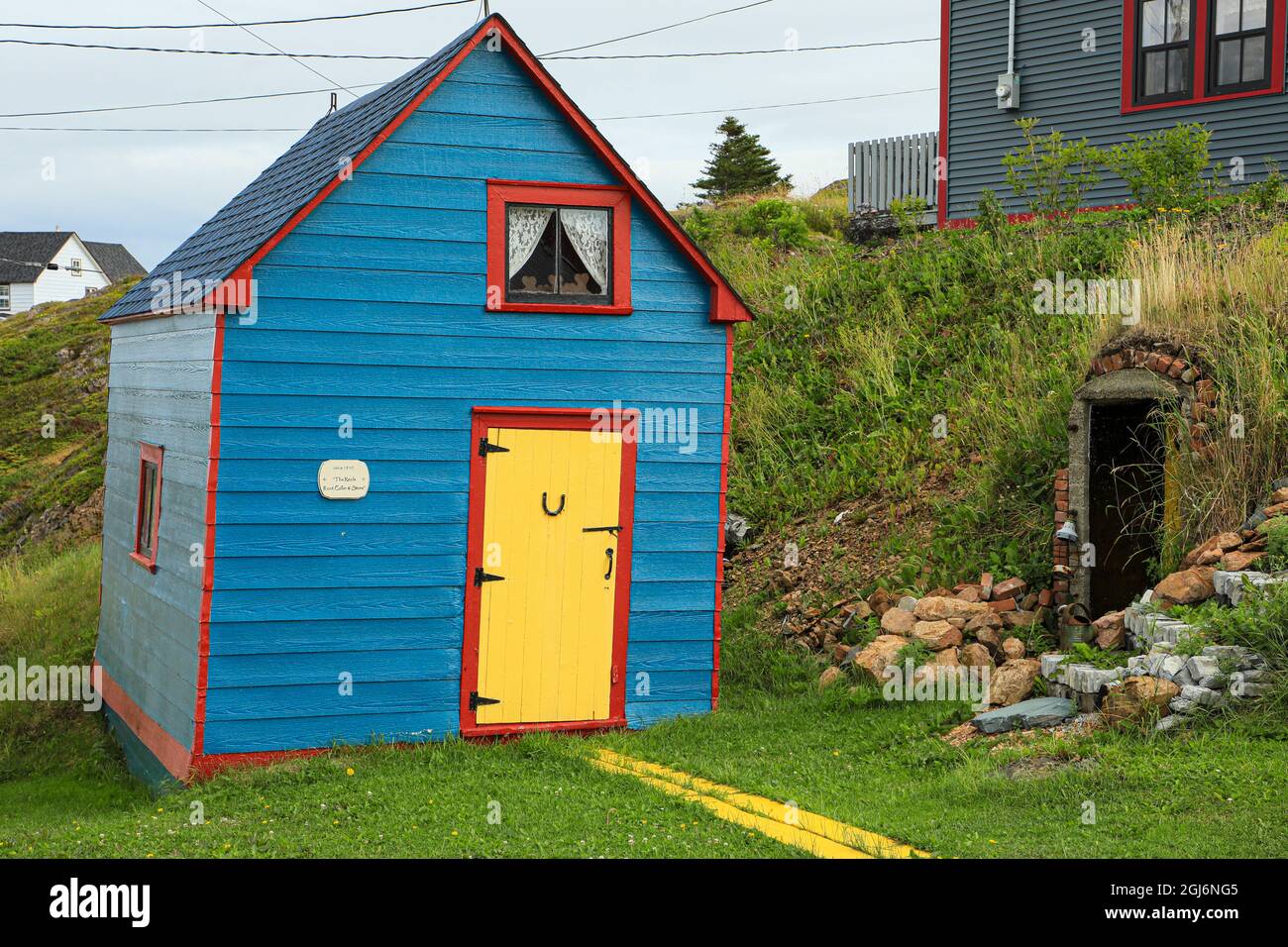 Do Newfoundland Shed