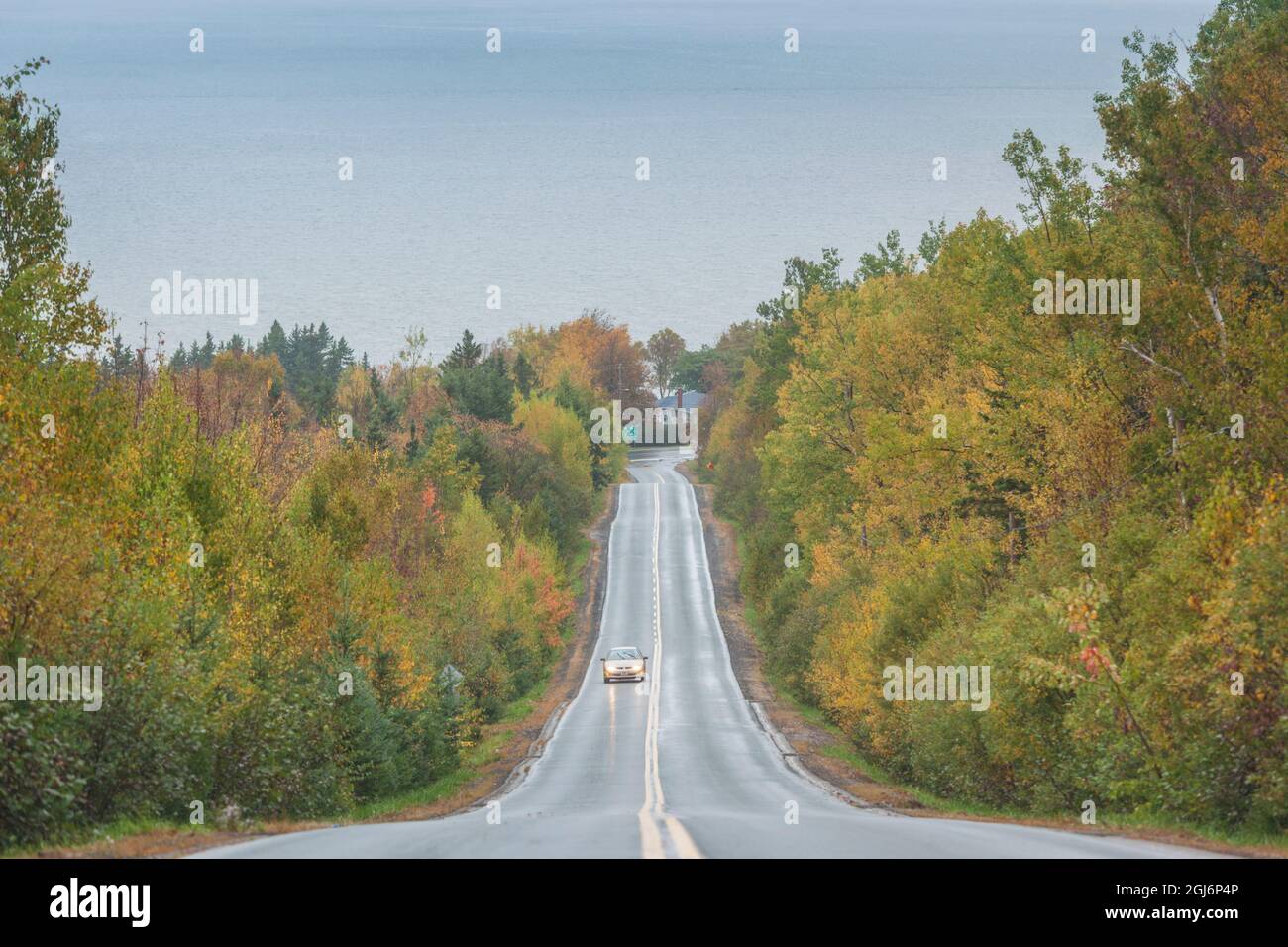 Cornwallis park hi-res stock photography and images - Alamy