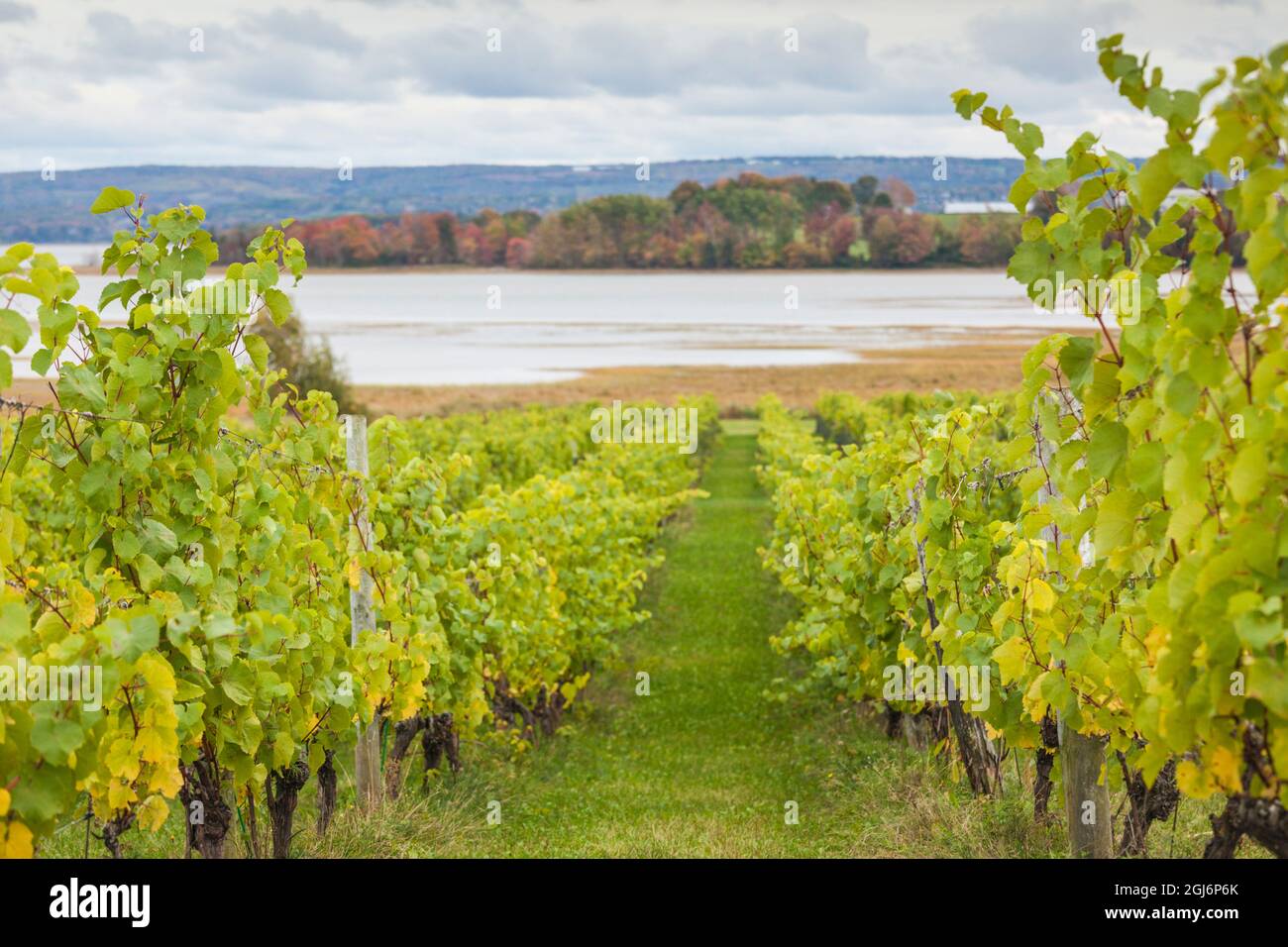Wolfville nova scotia hi-res stock photography and images - Alamy