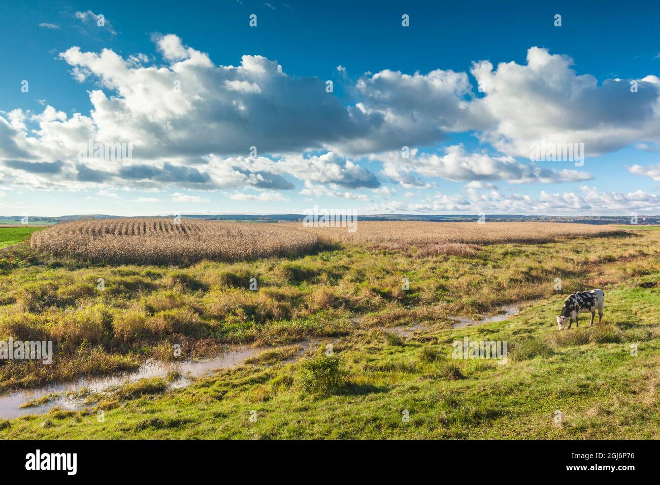 Diked hi-res stock photography and images - Alamy