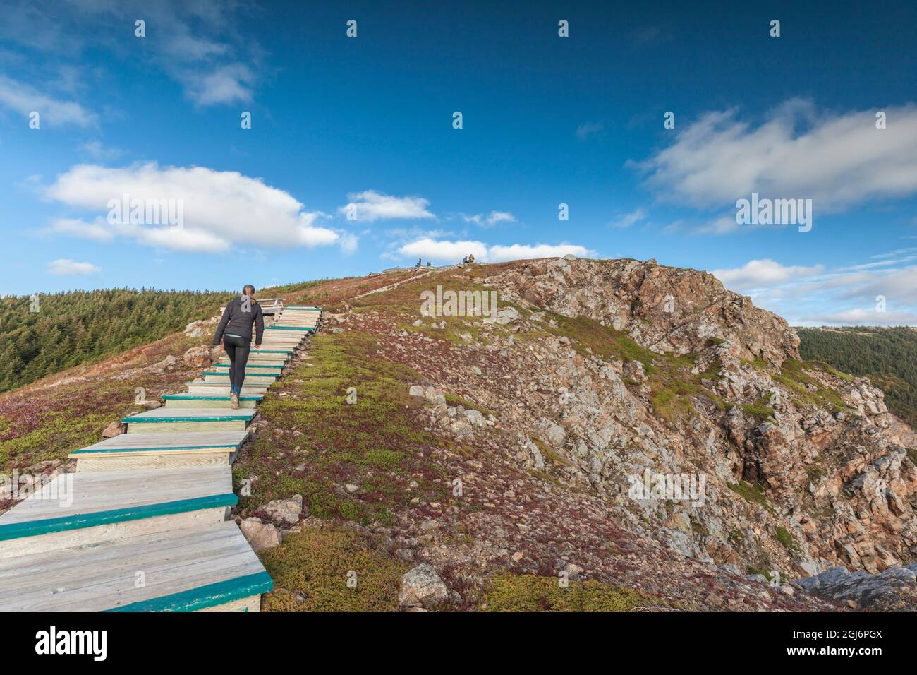 Canada, Nova Scotia, Cabot Trail, Cape Breton Highlands National Park, walkway of the Skyline ...