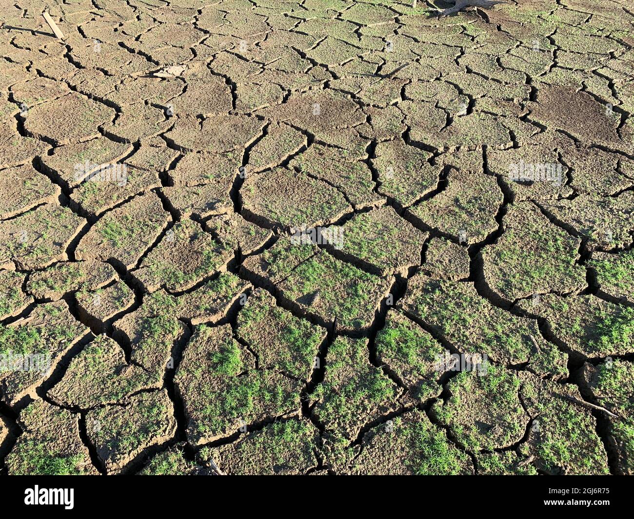 Dry cracked mud drought grass hi-res stock photography and images - Alamy