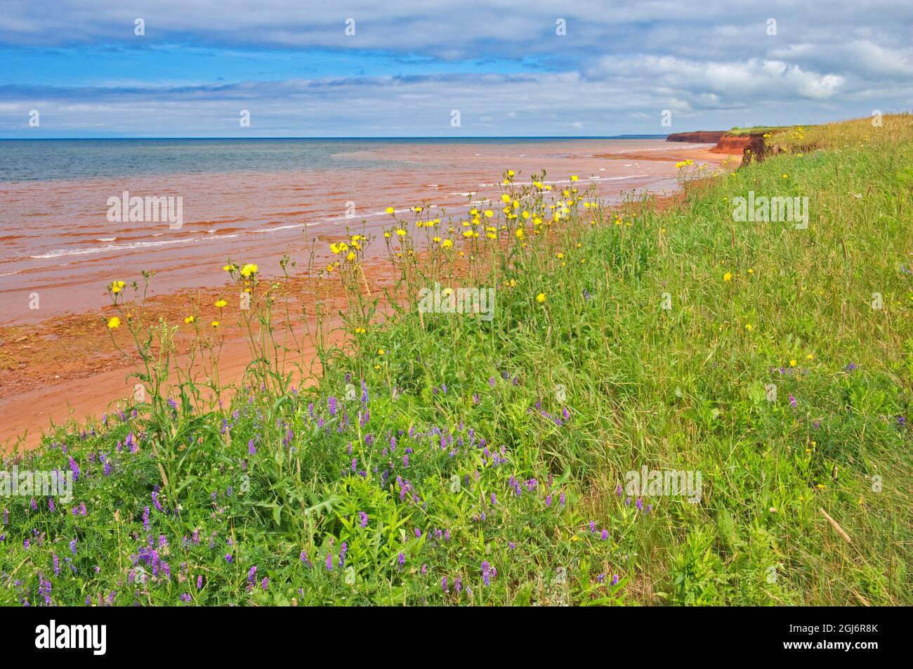 Skinners pond hi-res stock photography and images - Alamy