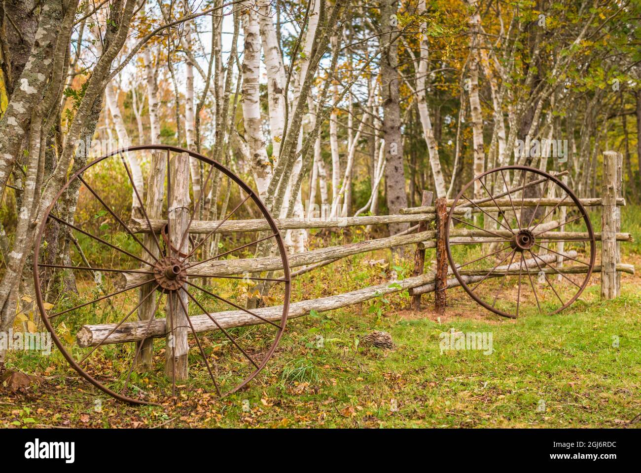 Canada, Prince Edward Island, Orwell. Wagon wheel and birch trees Stock ...