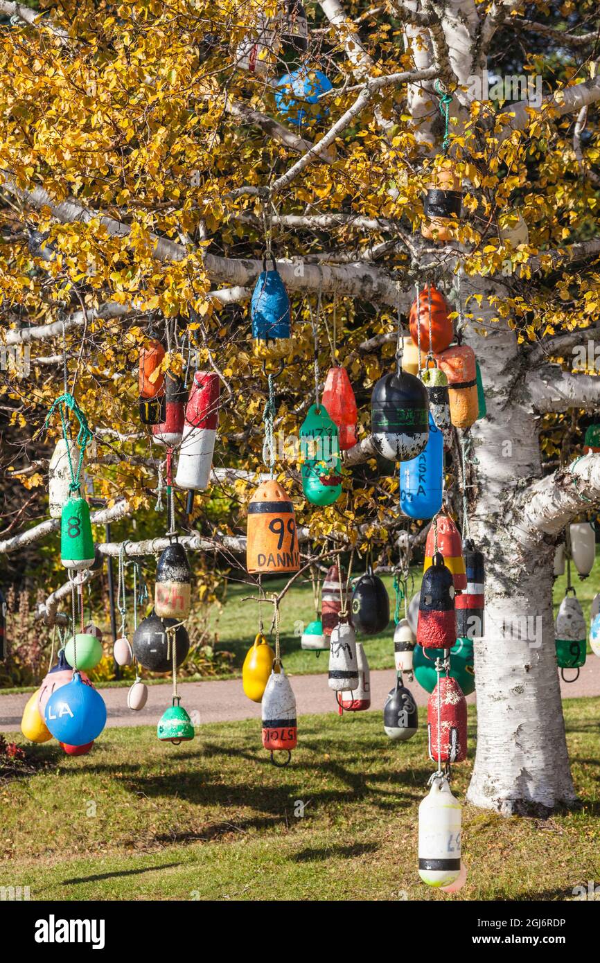 Canada, Prince Edward Island, Point Prim. Tree decorated with lobster ...