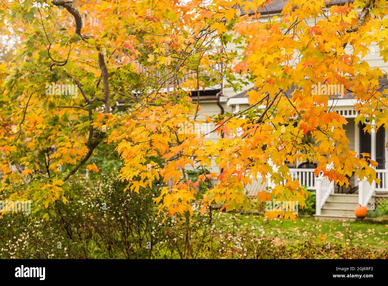 Canada, Prince Edward Island, Victoria autumn foliage Stock Photo - Alamy