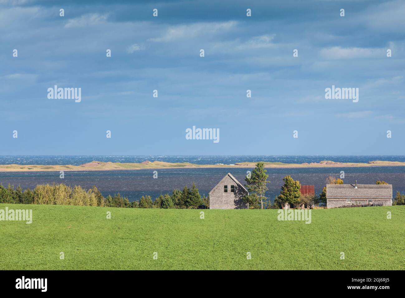 Canada, Prince Edward Island, Springbrook, farm on New London Bay Stock ...