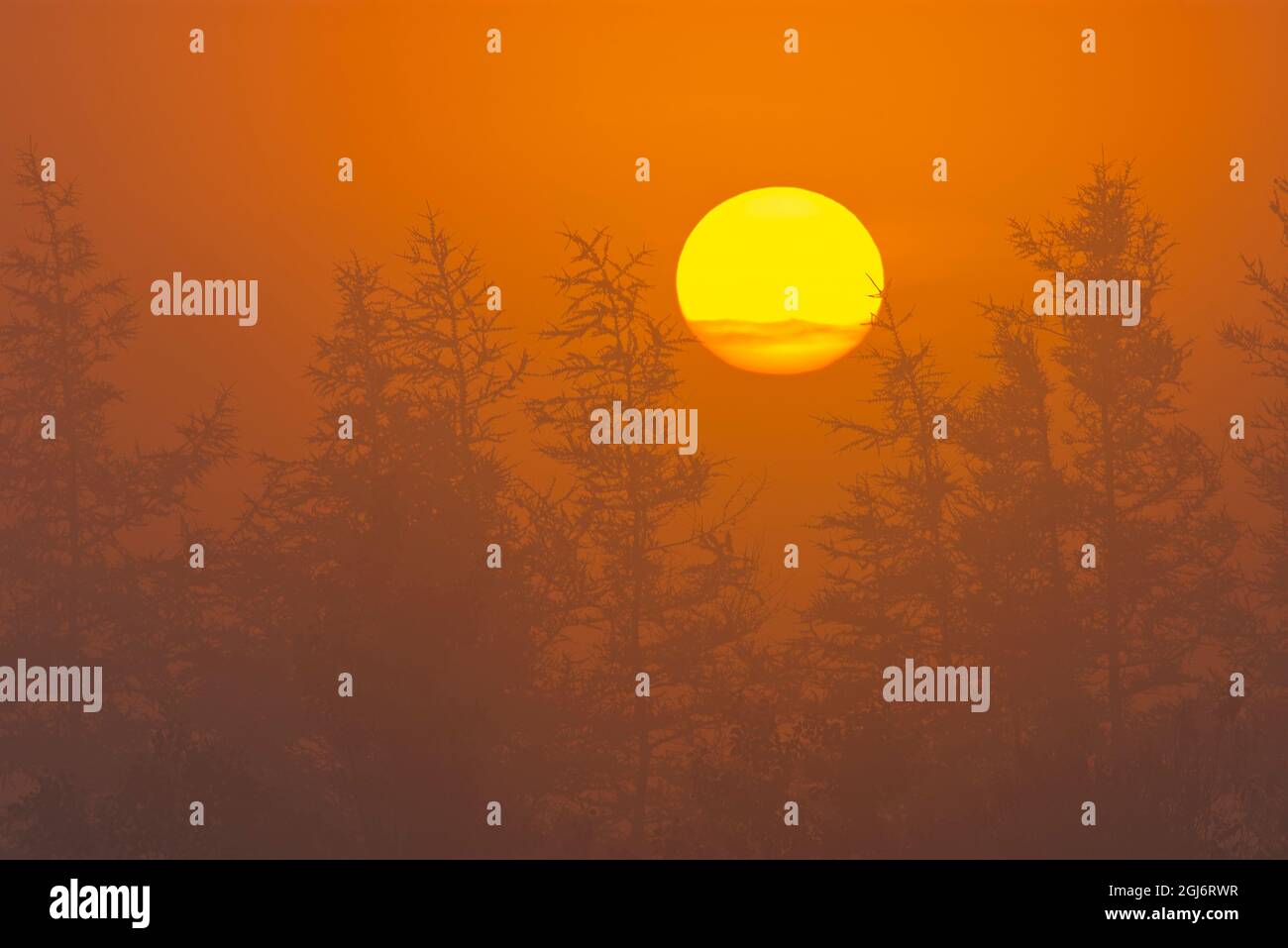 Pierre grandmaison hi-res stock photography and images - Alamy