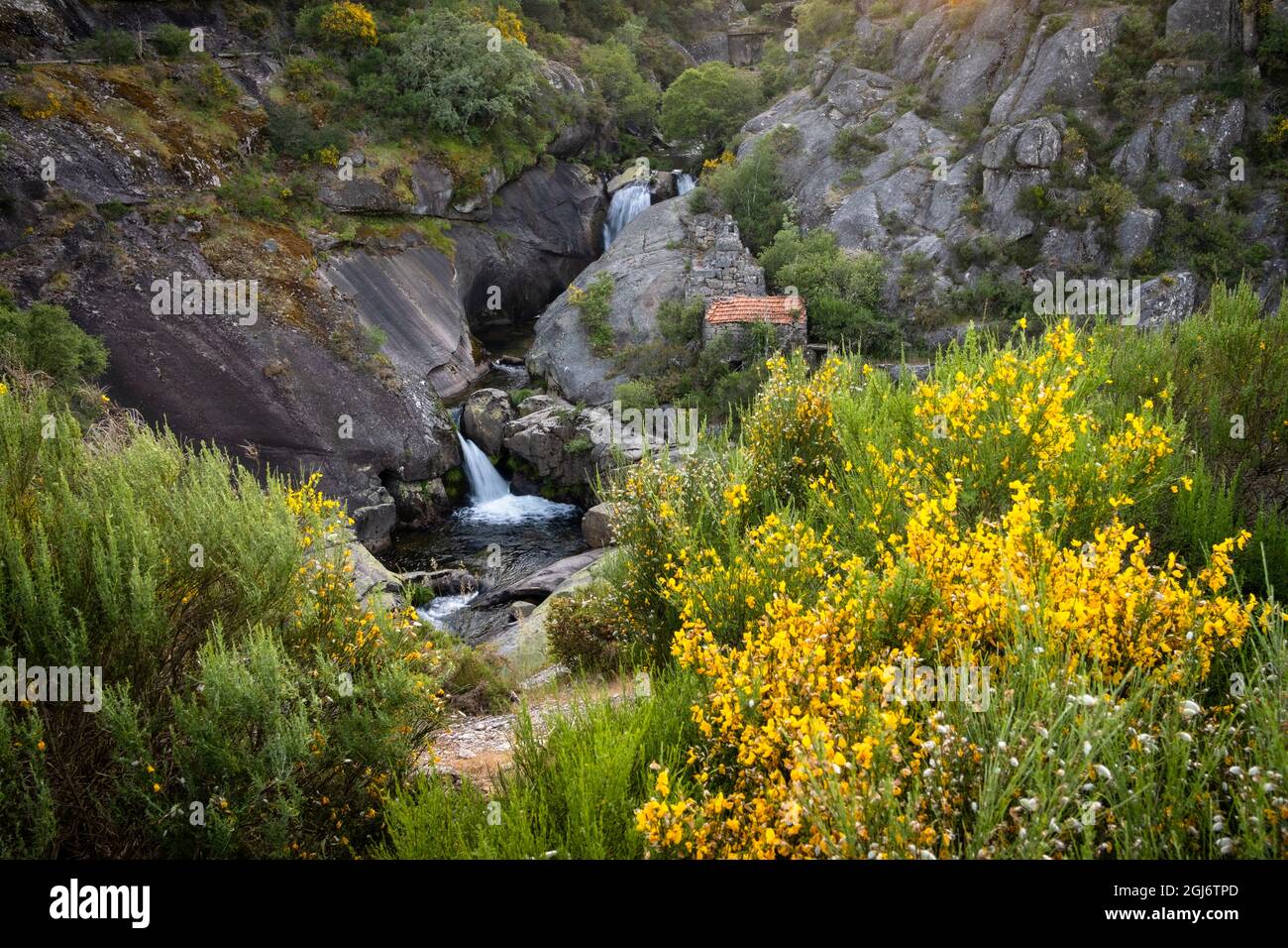 Peneda Gerês National Park, Portugal - 07 June 2021 : Laboreiro ...