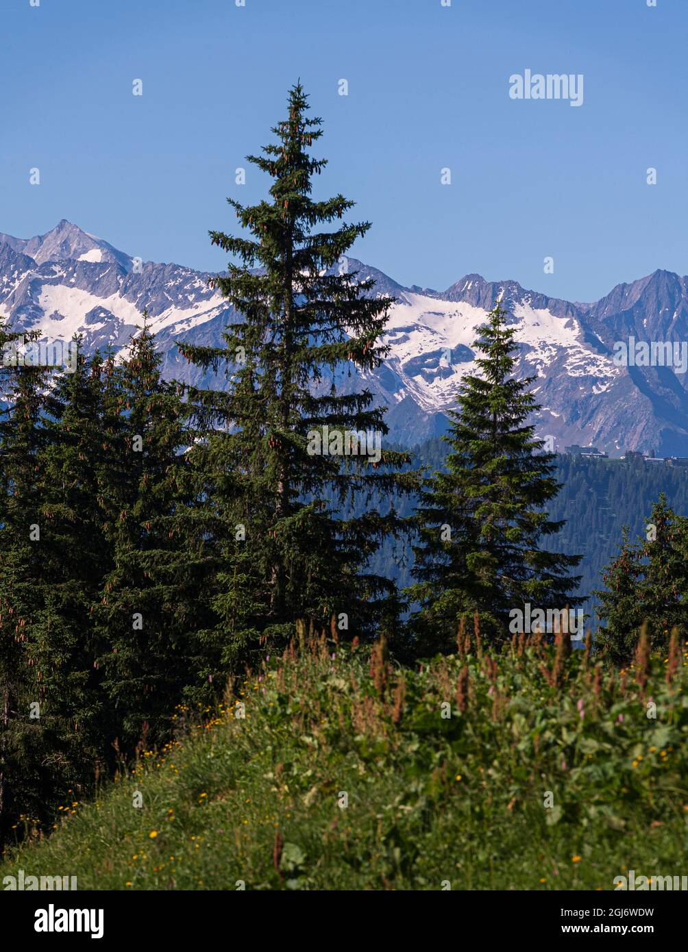 Vertical view austrian alps hi-res stock photography and images - Alamy