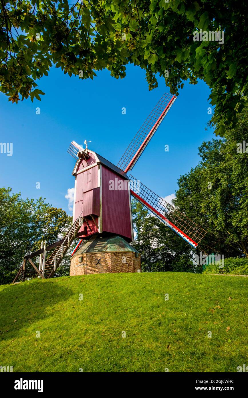 The Nieuwe Papegaai or New Parrot windmill on the Kruisvest, Bruges ...