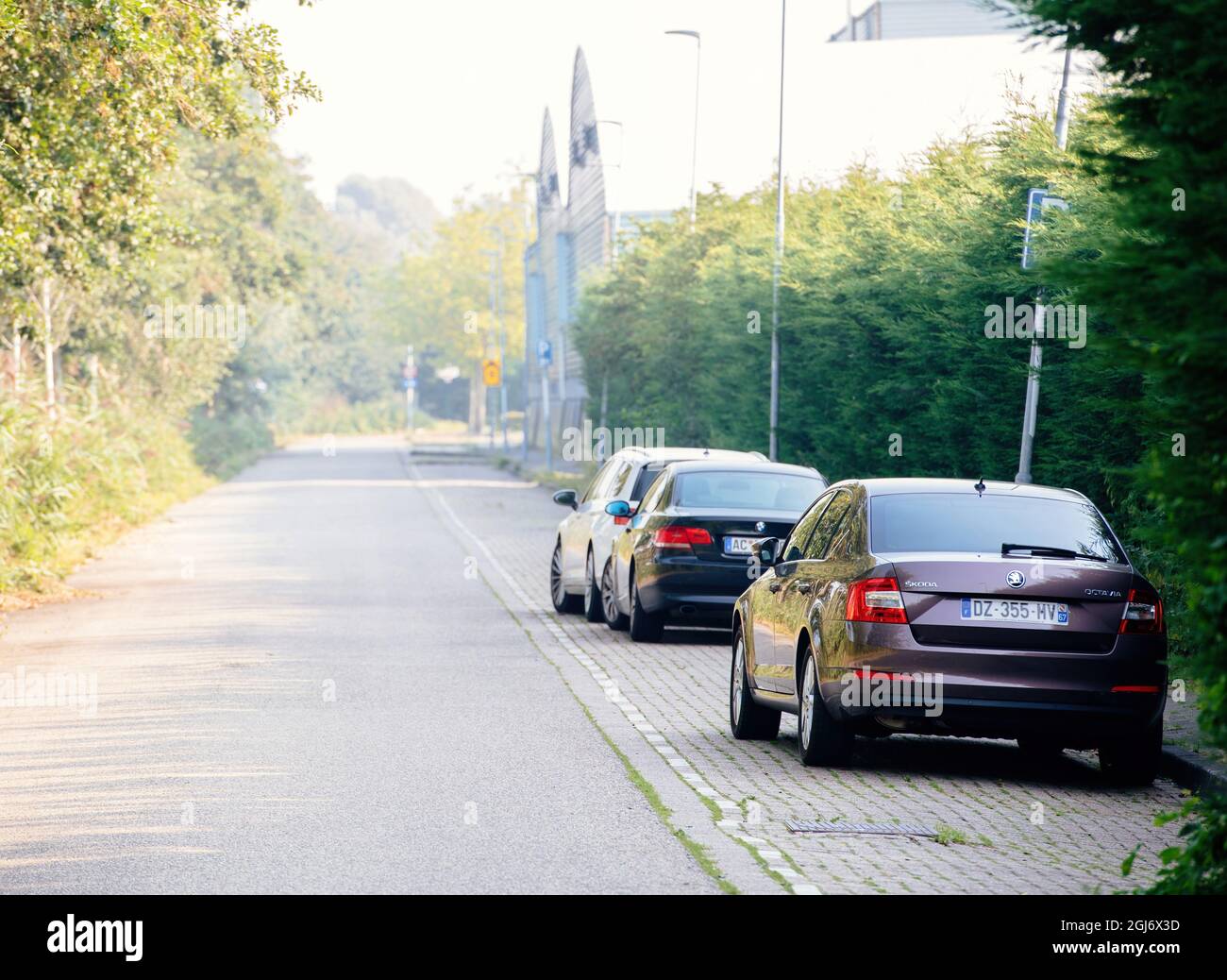 Rear view of multiple cars parked on the almost empty road in central ...